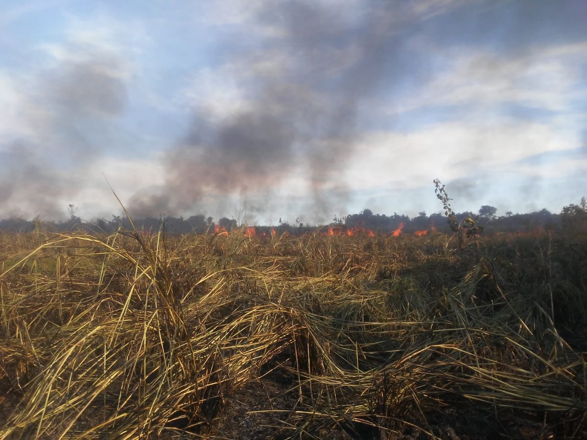Incêndio queima área de pasto em fazenda e ameaça reserva florestal no ...