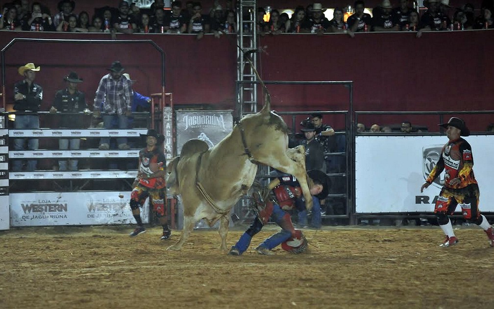Vitória de peão índio e 'feminejo' embalam última noite do Rodeio de ...