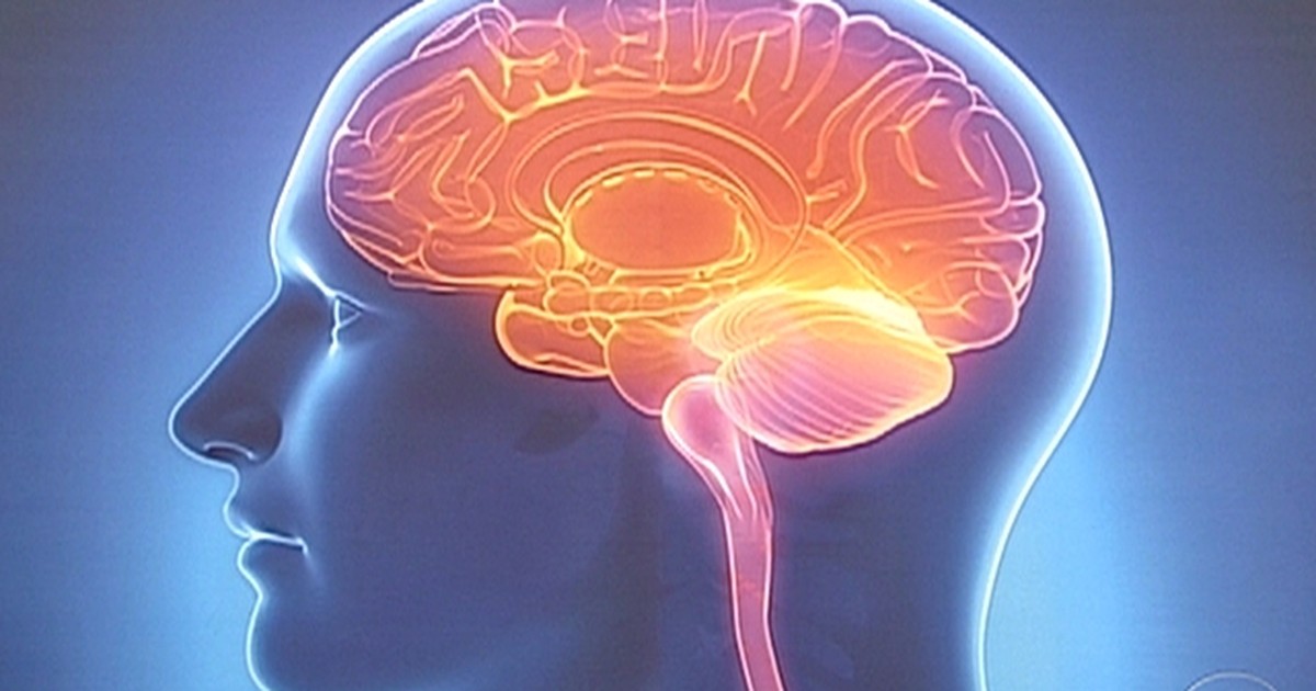 G1 - Instituto do Cérebro é inaugurado no Centro do Rio - notícias em ...