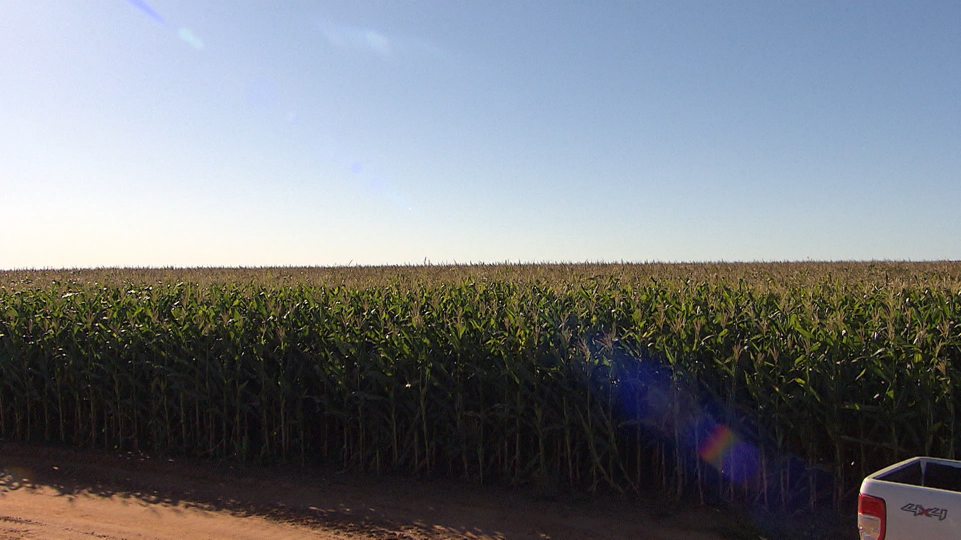 VÍDEOS: Bahia Rural de domingo, 24 de março | Bahia | G1