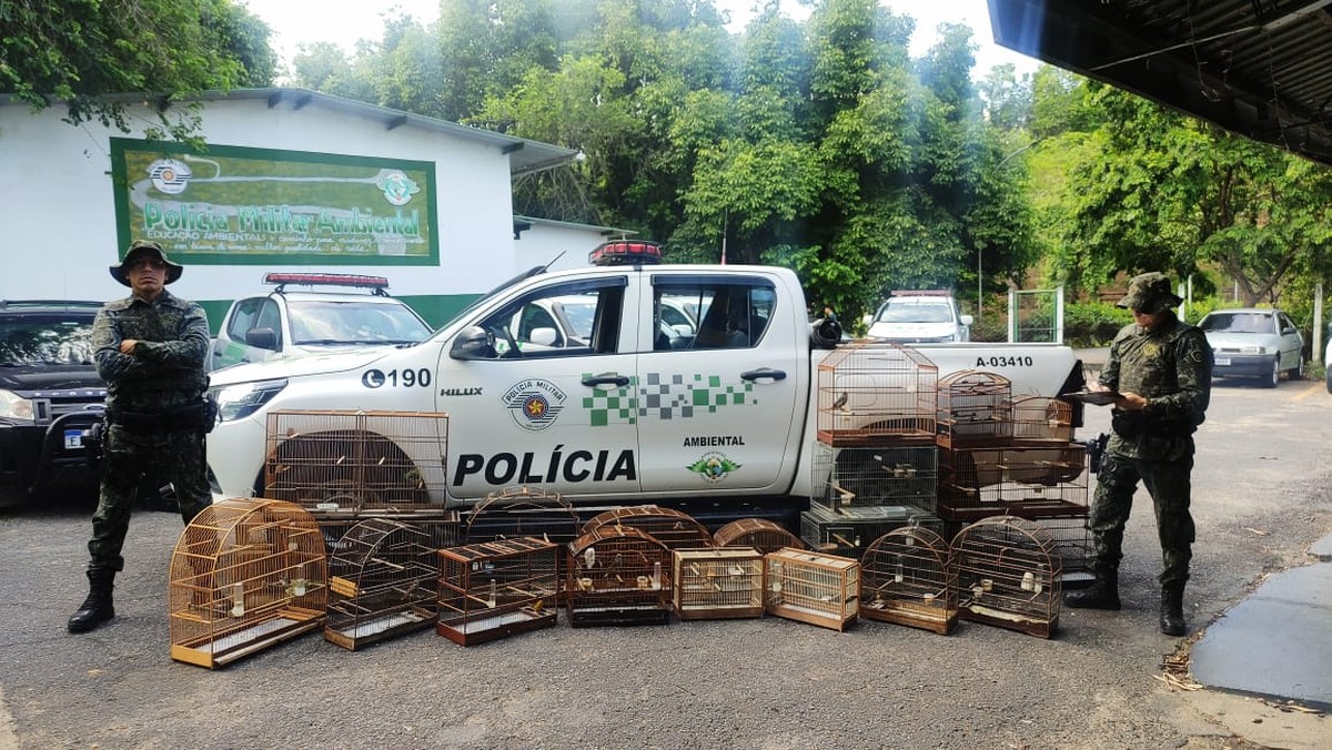 Homem é multado em R$ 10 mil por manter 20 aves silvestres em cativeiro ...