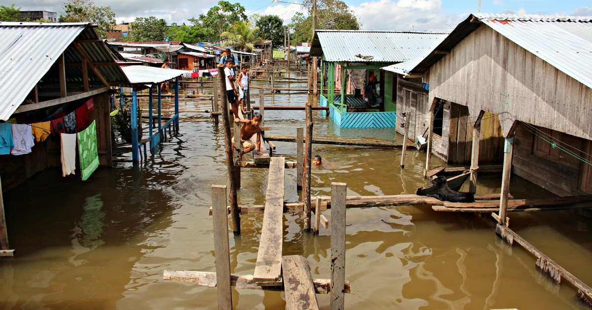 G1 - Rio Solimões está a 8 cm de atingir cheia histórica em Tabatinga ...