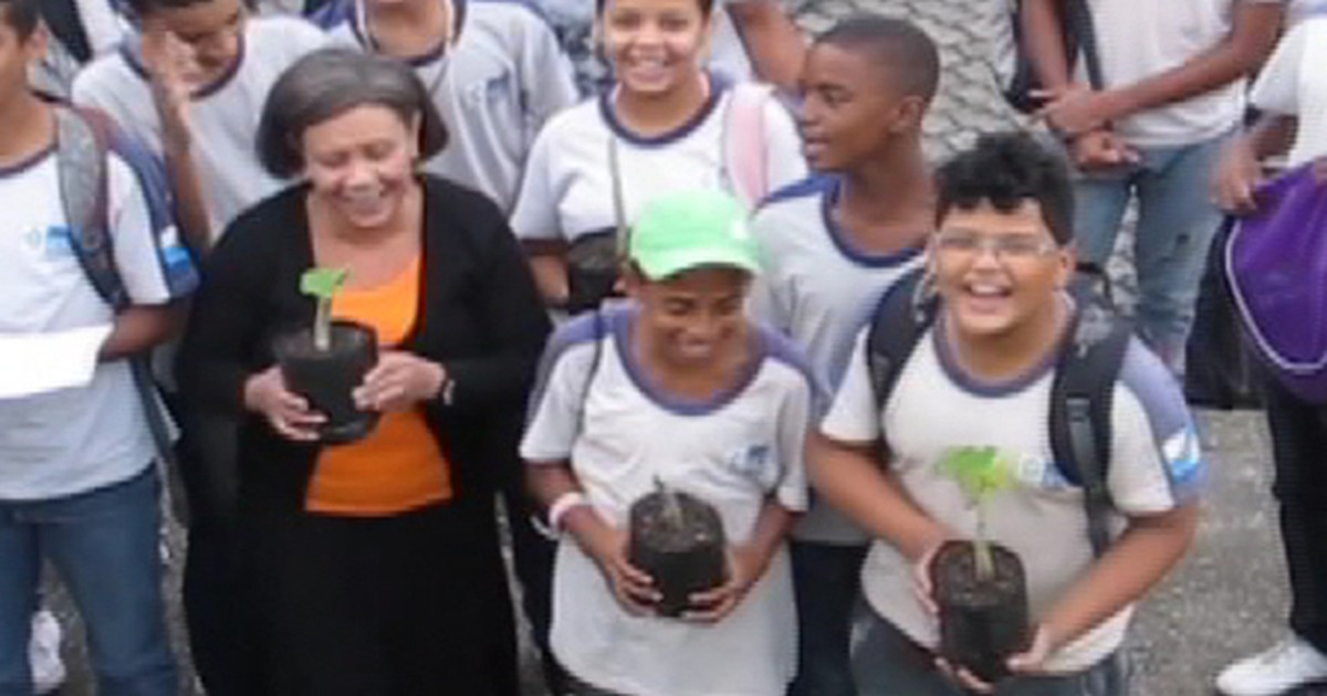 G1 - Favela é plantada por alunos em escola pública dentro do Alemão ...