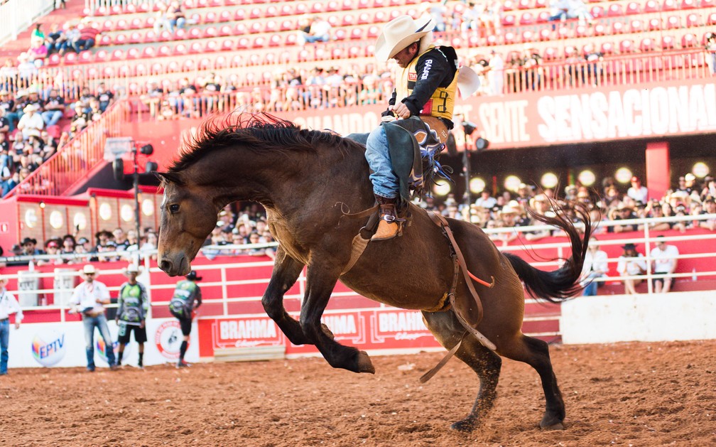 Barretos 2017: Provas finais do rodeio; FOTOS | Festa do Peão de ...