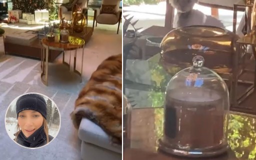 Jennifer Lopez mostra árvore de Natal e apresenta novo gato de ...