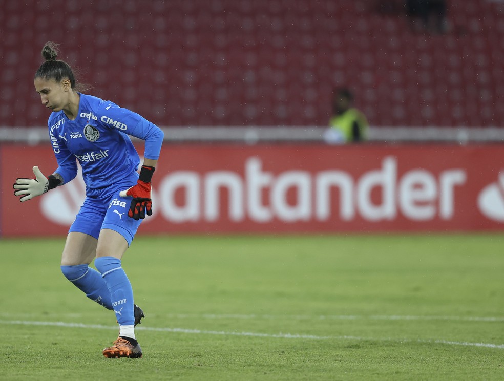Jully assume gol do Palmeiras e confia na briga por título da ...