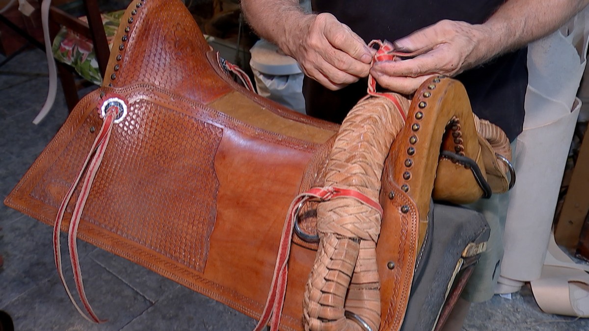 Procura por couro aumenta e preços sobem | Nosso Campo | G1