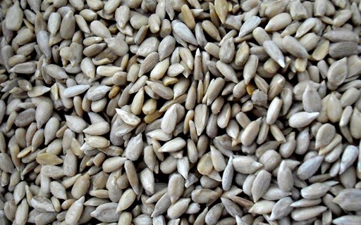 Syngenta adquire empresa de sementes Nidera Seeds - Pequenas Empresas ...