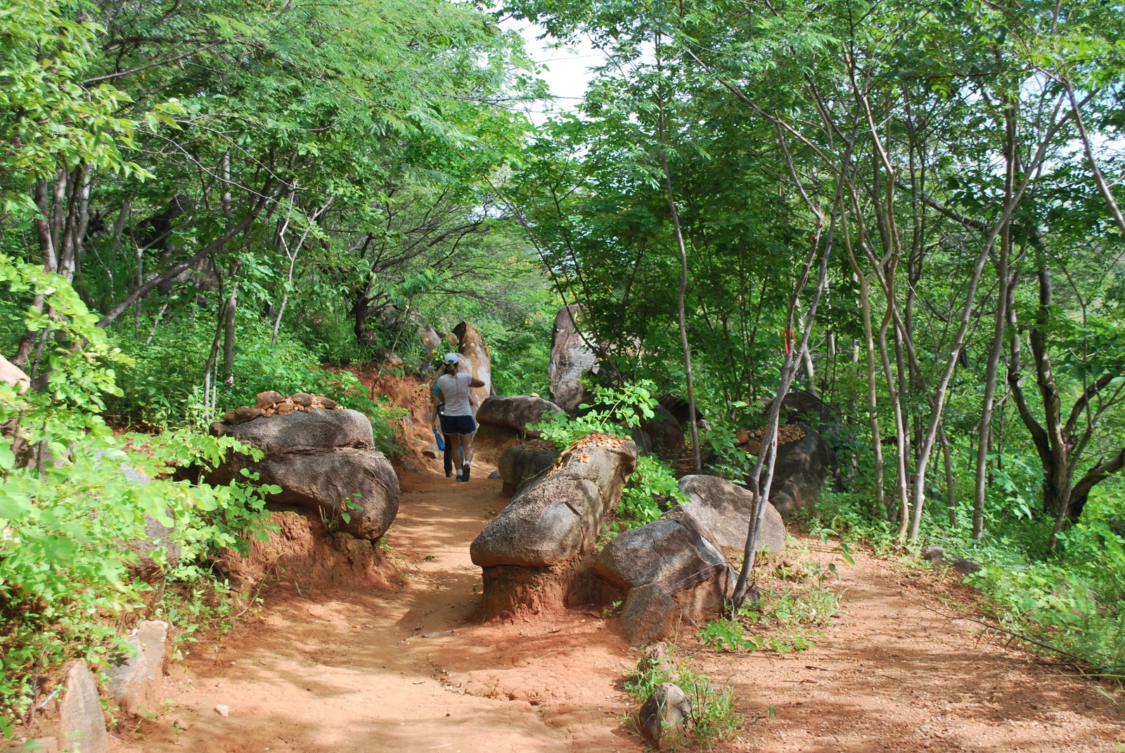 Geoparque Araripe: conheça os principais pontos de visitação da terra ...