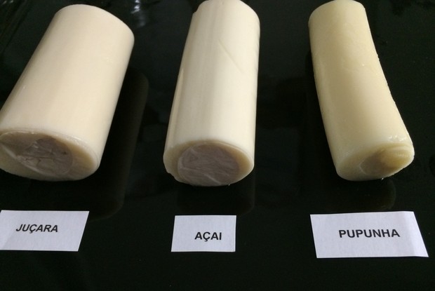 Você sabe a diferença entre os tipos de palmito? Veja como escolher ...