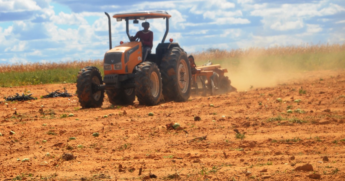 G1 - Programa distribui sementes para agricultores do Agreste de PE ...