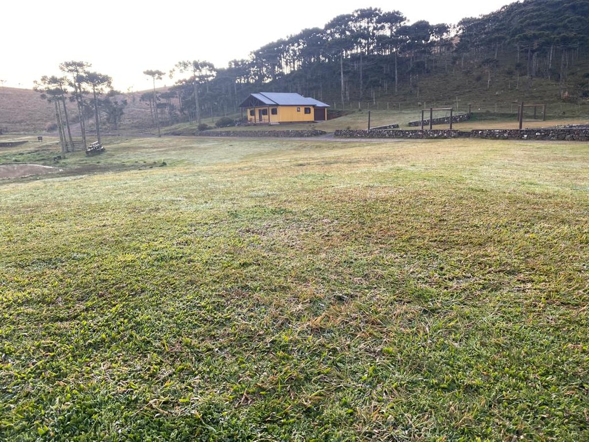 Com temperaturas próximas de 0ºC, cidades do RS amanhecem cobertas de ...