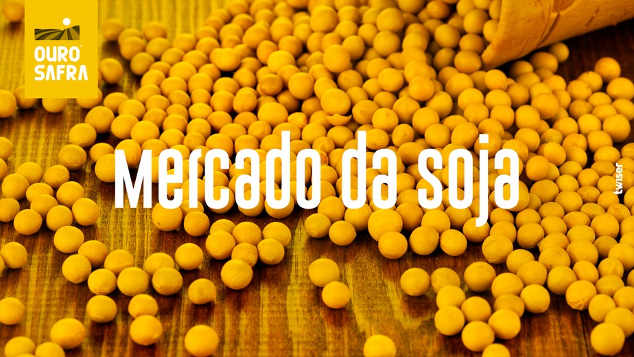 Mercado da soja: Grão é um dos principais produtos do agronegócio ...