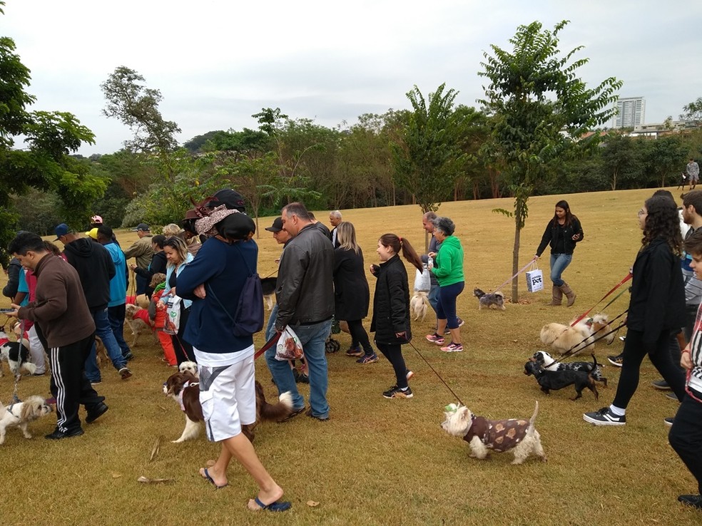 Animais e seus donos lotam a Parada Pet 2019 | Parada Pet Ribeirão ...