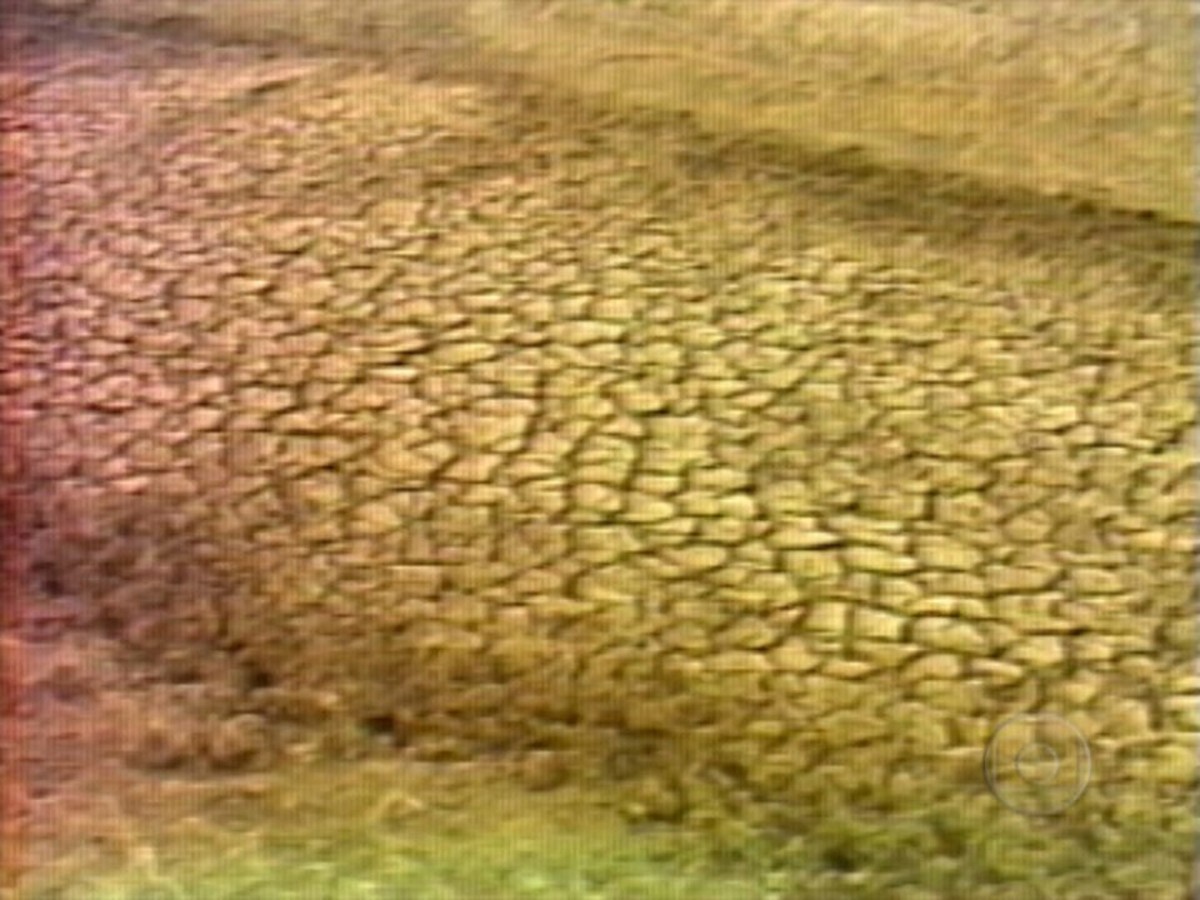 Seca no Nordeste | Seca no Nordeste | memoriaglobo