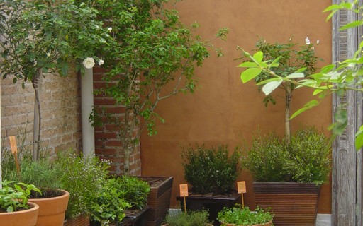 Uma hortinha lá em casa - Casa e Jardim | Caterina Poli