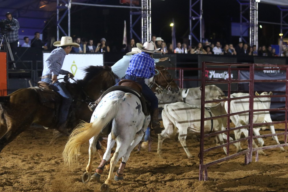 Segunda noite do Jaguariúna Rodeo Festival; FOTOS | Rodeio de ...