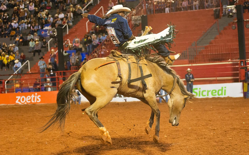 Barretos 2019: segunda noite de montaria do Rodeio Internacional ...