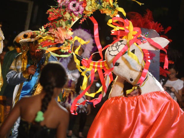 G1 - 'Paixão do Boi' reúne grupos de boi-bumbá para folia junina em ...