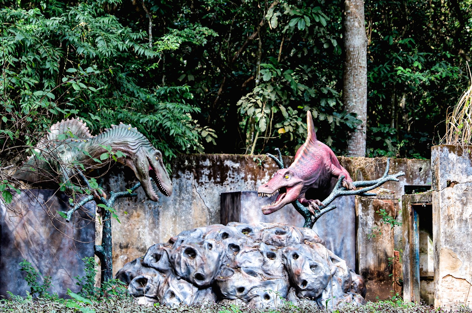 Parque Dos Dinossauros De Miguel Pereira Abrirá As Portas Em Outubro