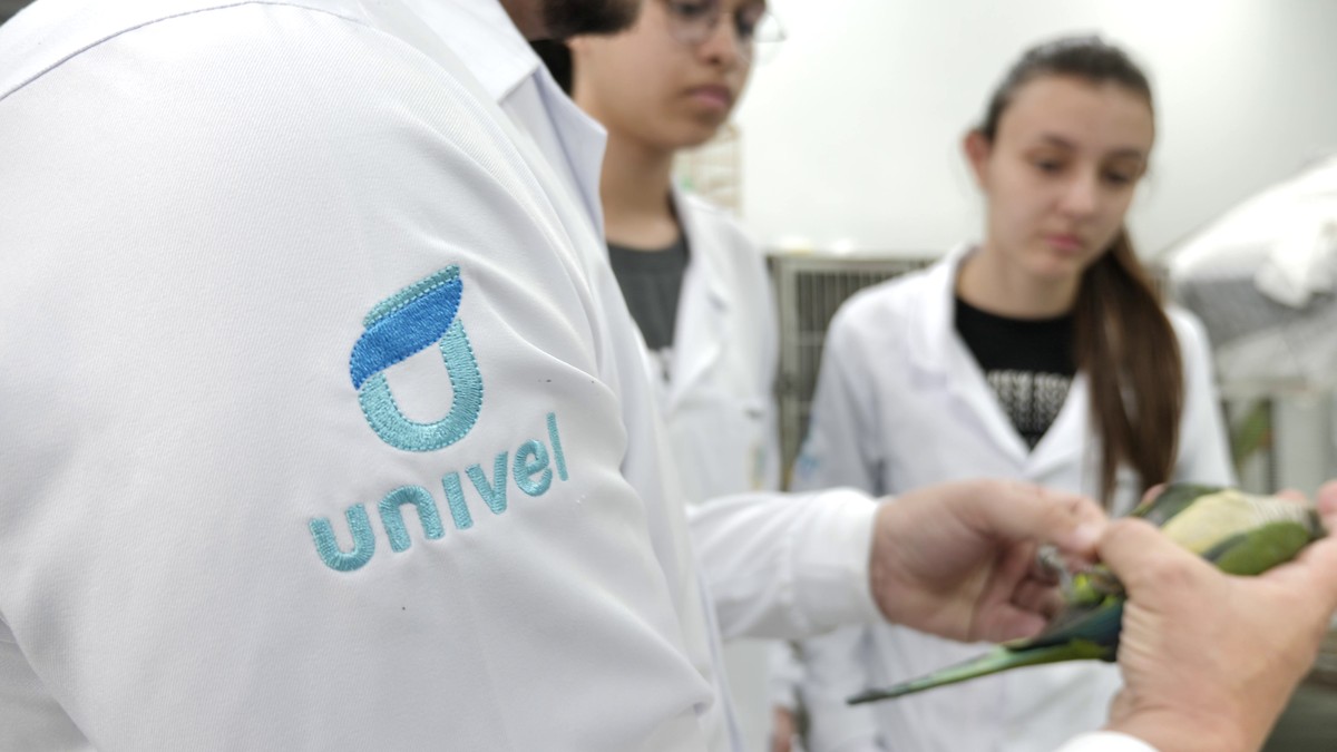 Quais os diferenciais da UNIVEL e por que estudar na maior do Oeste do ...