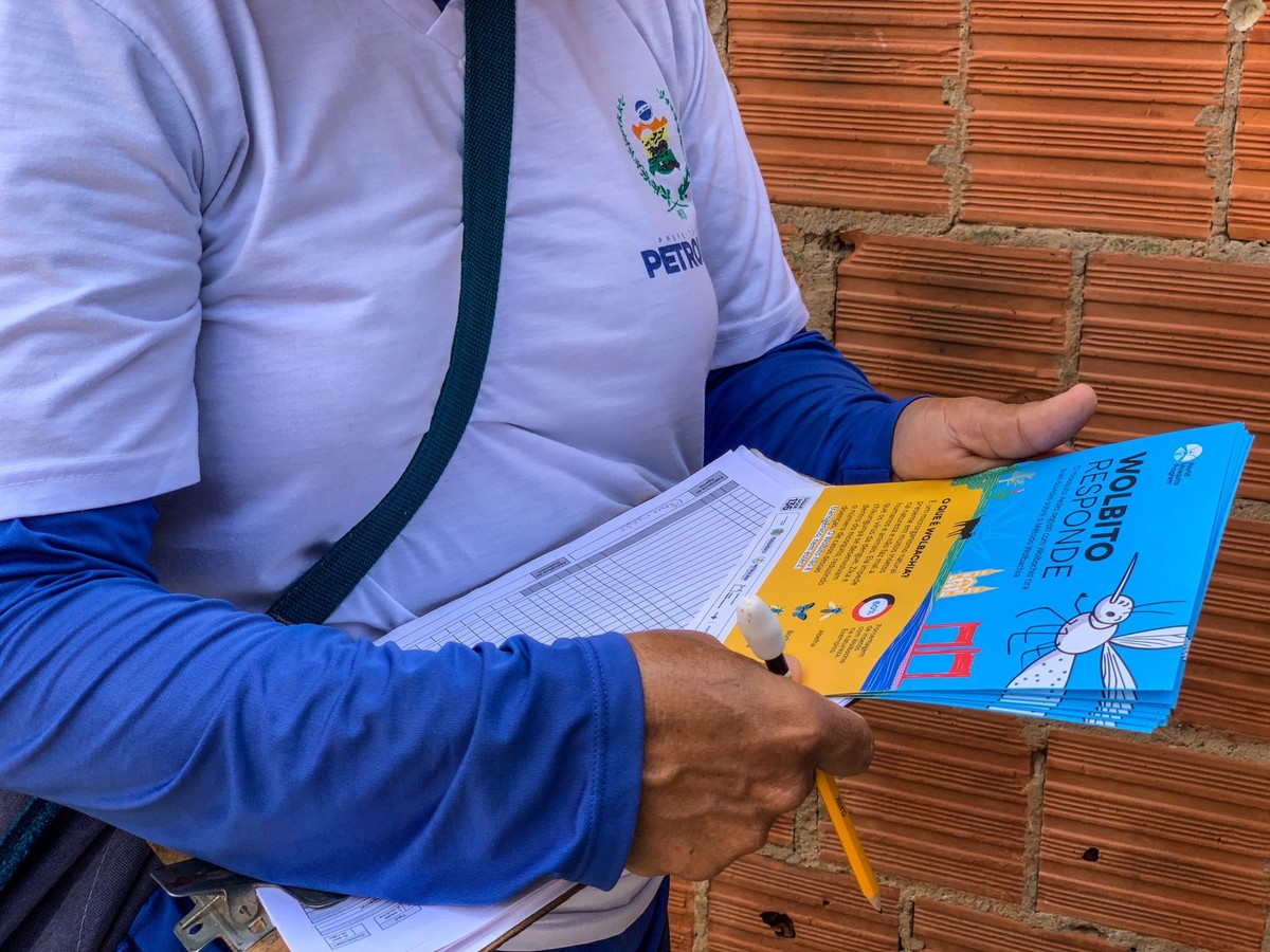 Último LIRAa de 2022 aponta baixo risco de infestação de Aedes aegypti ...