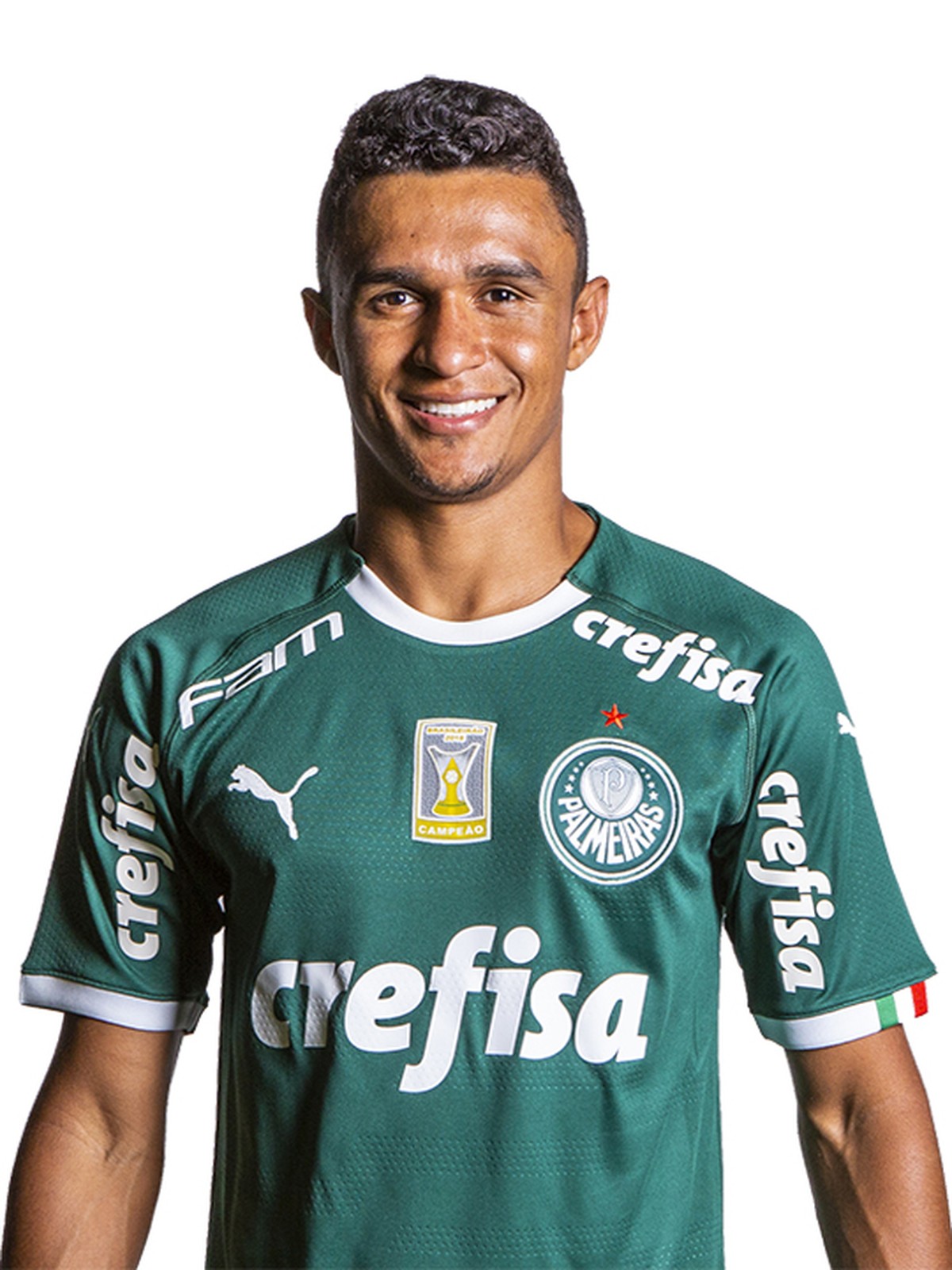 Palmeiras acerta novo empréstimo de Erik ao Botafogo | central do ...