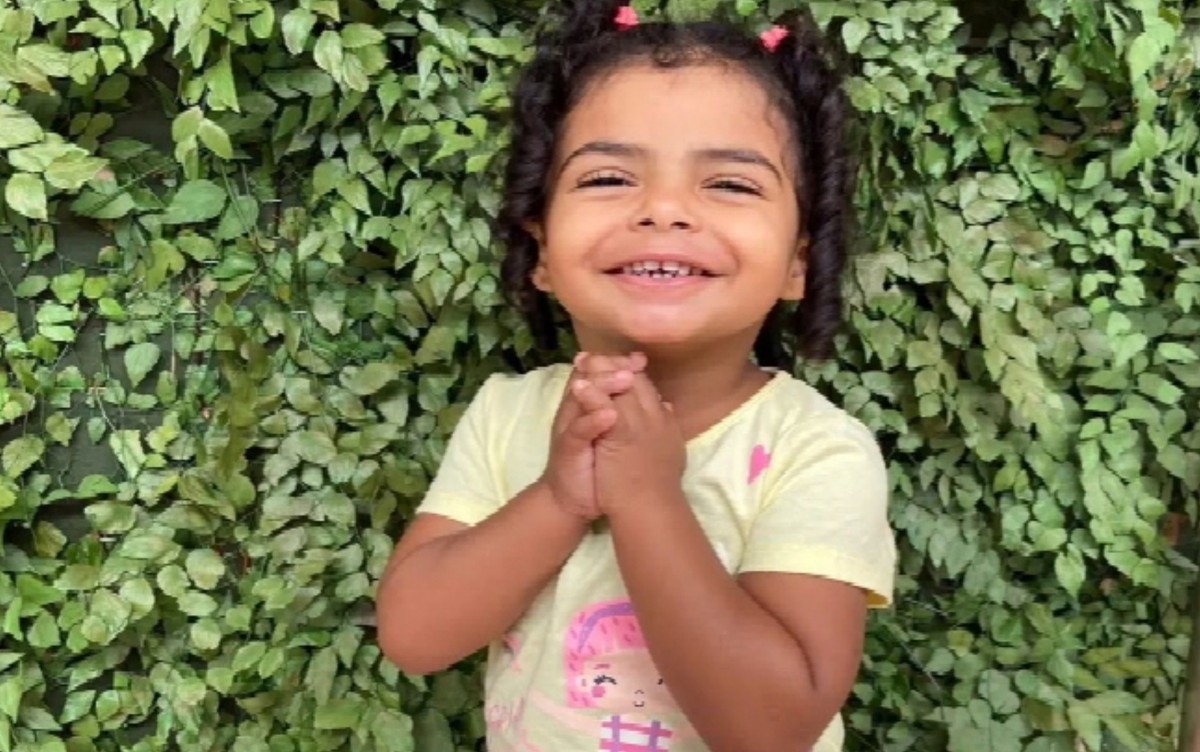 Criança de 2 anos morre afogada após cair em córrego | Goiás | G1