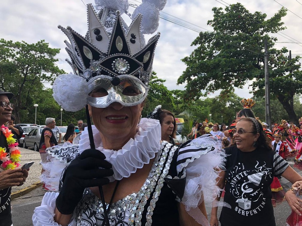 Blocos líricos exibem leveza e elegância em desfile no Centro do Recife ...