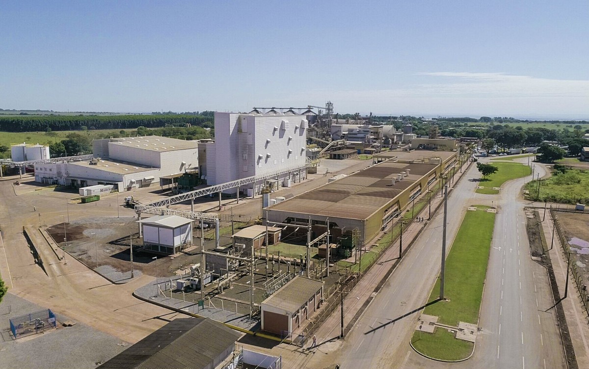 ADM inaugura em Campo Grande maior fábrica de proteínas de soja da ...