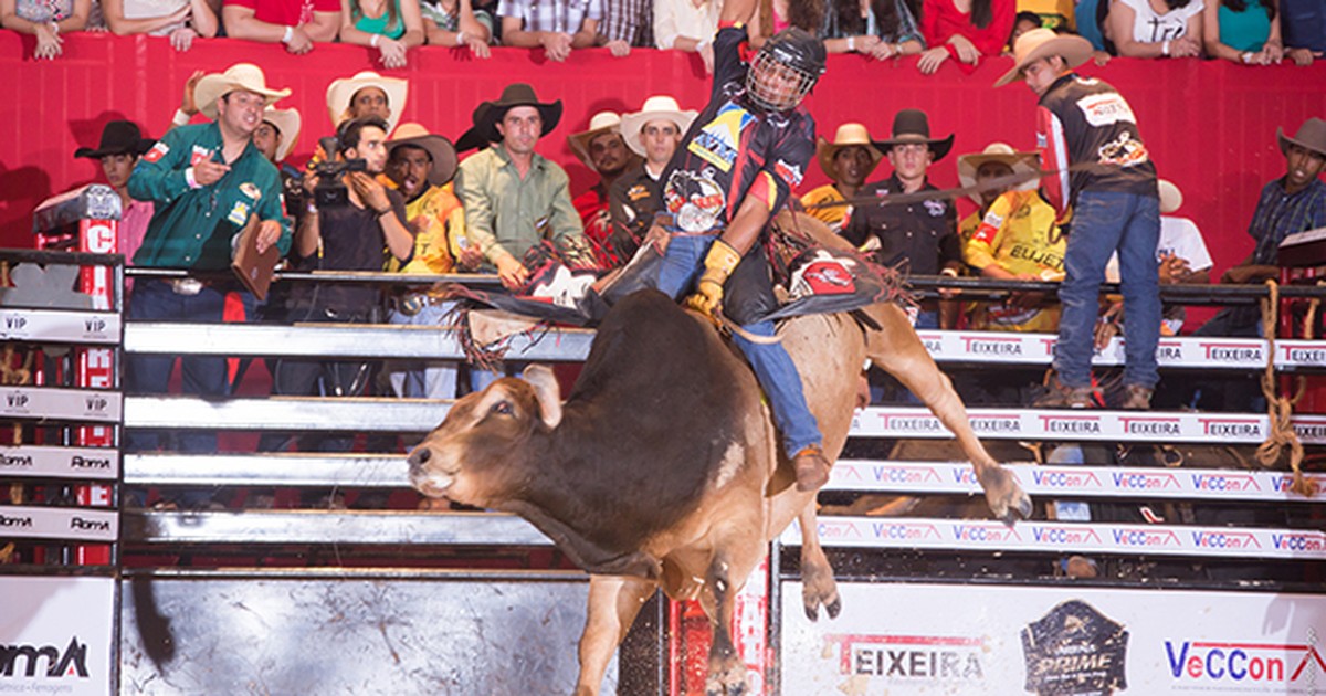 G1 - Em touros ou em cavalos, as provas do rodeio são de tirar o fôlego ...