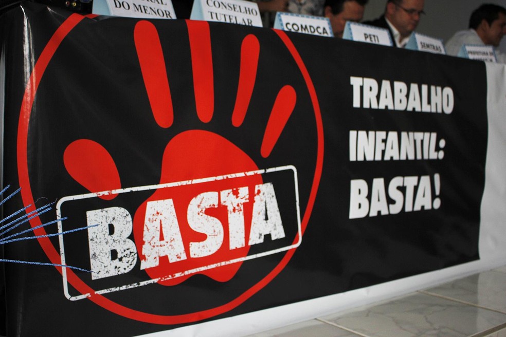 Trabalho Infantil 359 Menores Trabalham Em Situação Ilegal Em Santarém