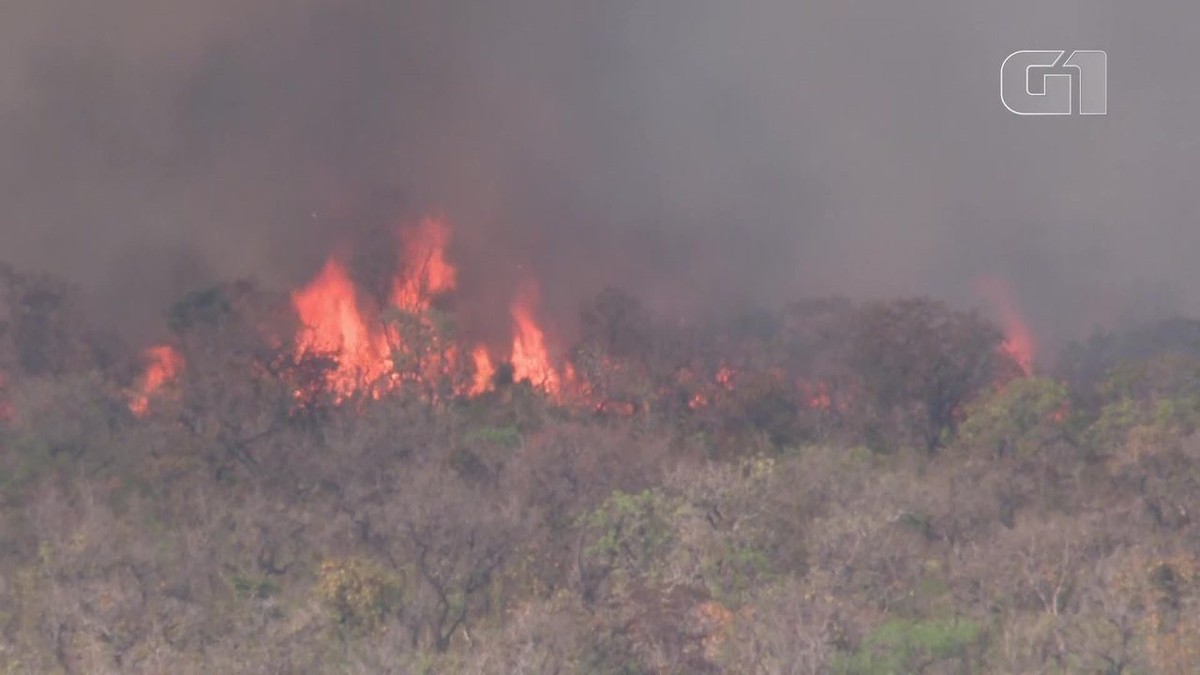 Incêndio De Grandes Proporções Atinge Vegetação No Parque Nacional De
