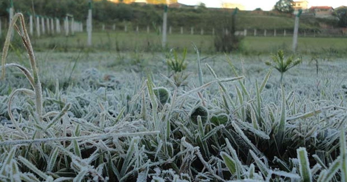 G1 - Primeira geada do ano é registrada em Bom Jesus, na Serra do RS ...