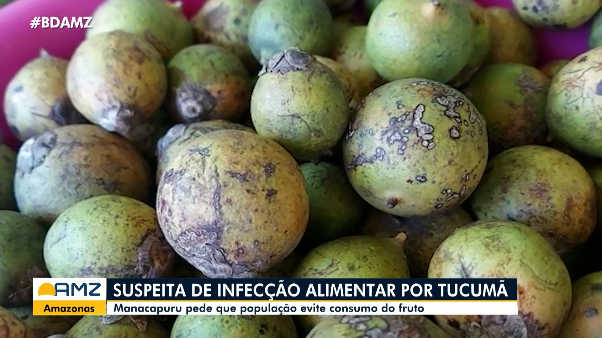 VÍDEOS: Manacapuru tem casos suspeitos de infecção por tucumã; Veja ...