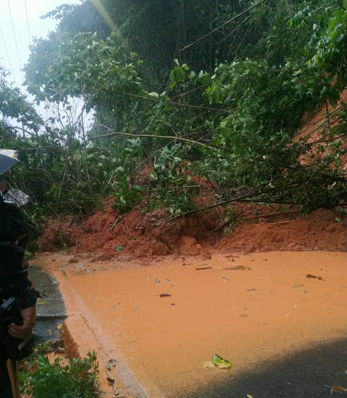 Chuva Forte Causa Deslizamentos De Terra Alagamentos E Bloqueia