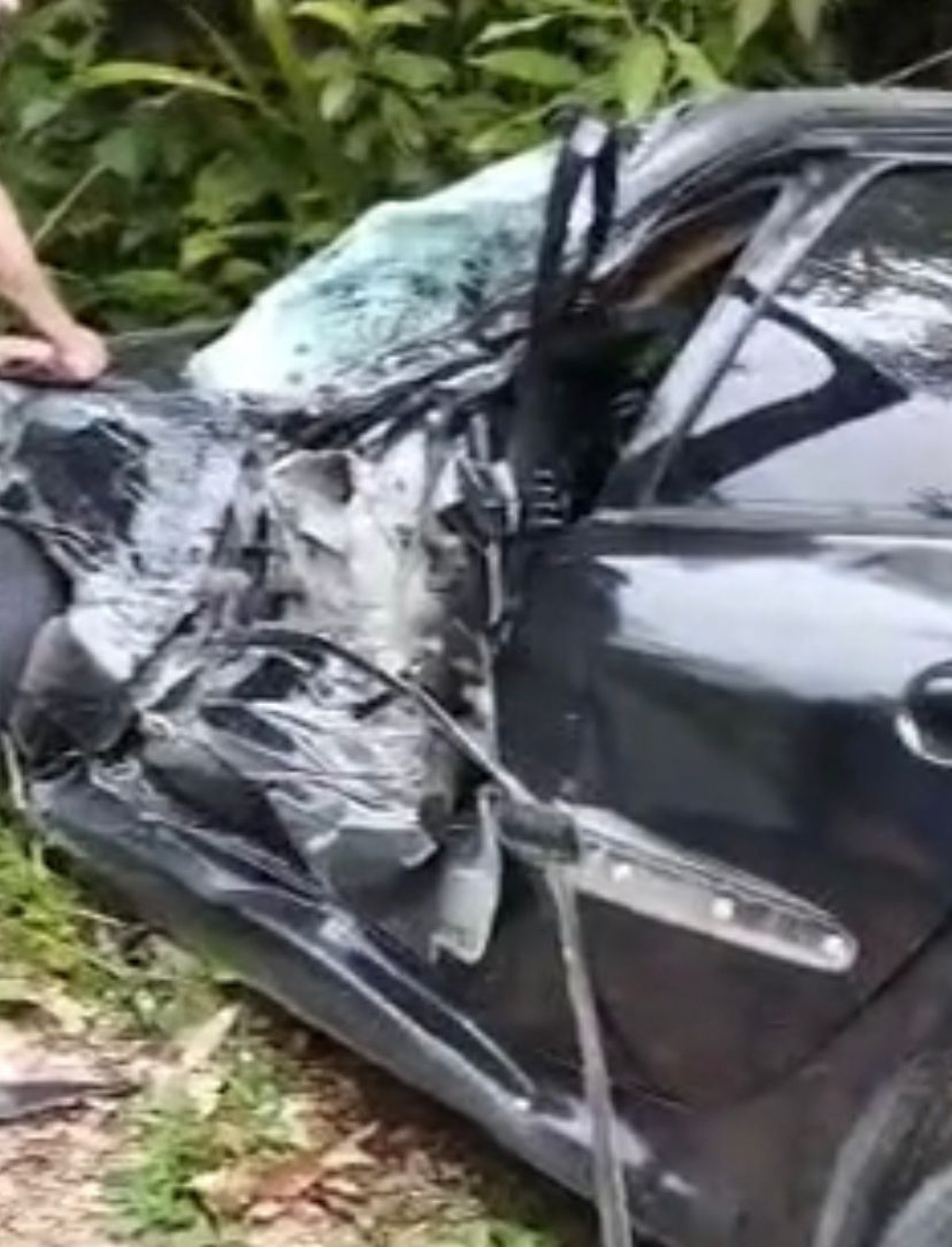 Acidente entre carro e ônibus deixa homem ferido na BR-101, em Paraty ...