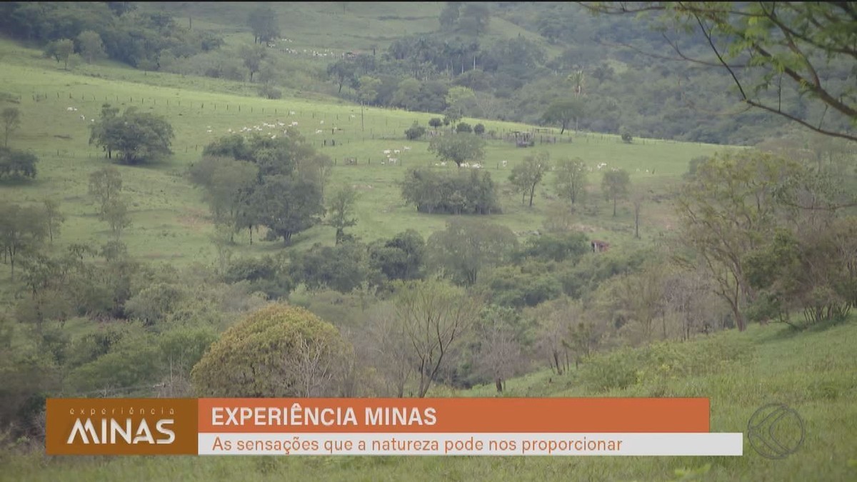 'Experiência Minas': sensações proporcionadas pela conexão com a ...