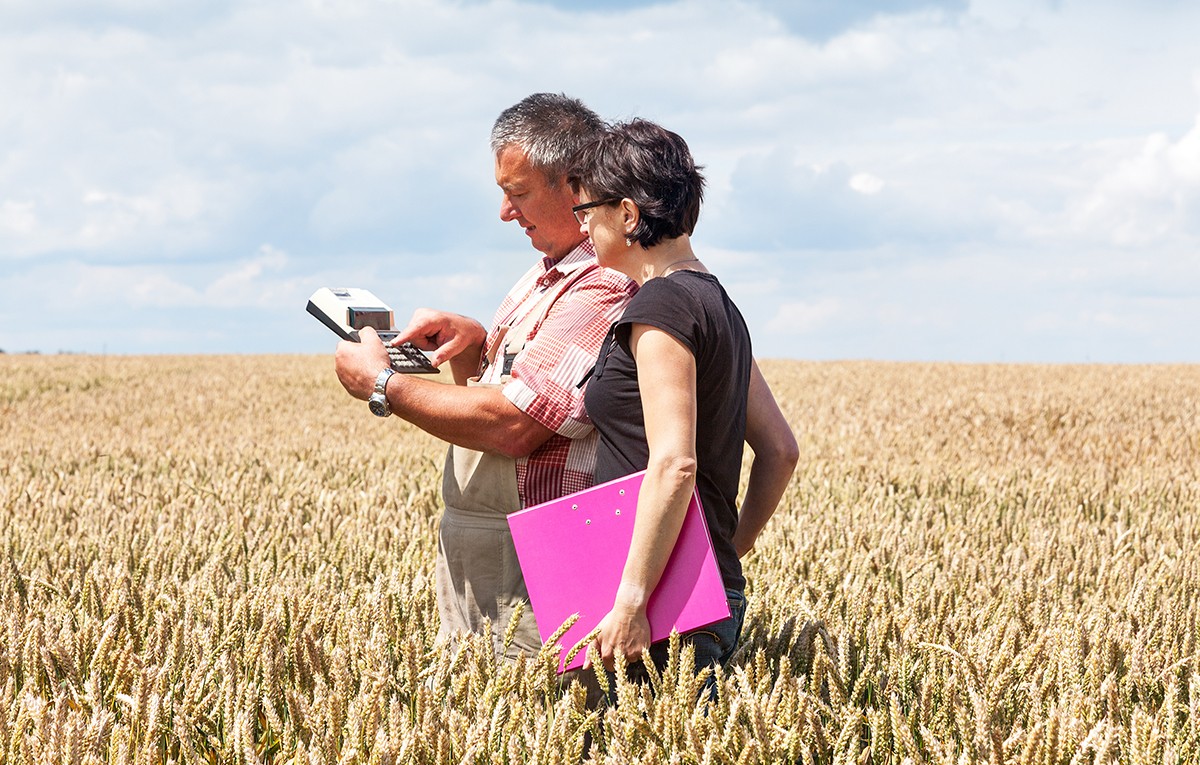 Conheça programa do Sebrae/CE que disponibiliza bolsas de até R$ 6.500 ...