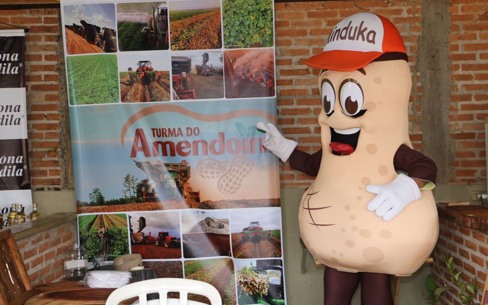 Mascote de feira do amendoim que viralizou nas redes sociais será ...
