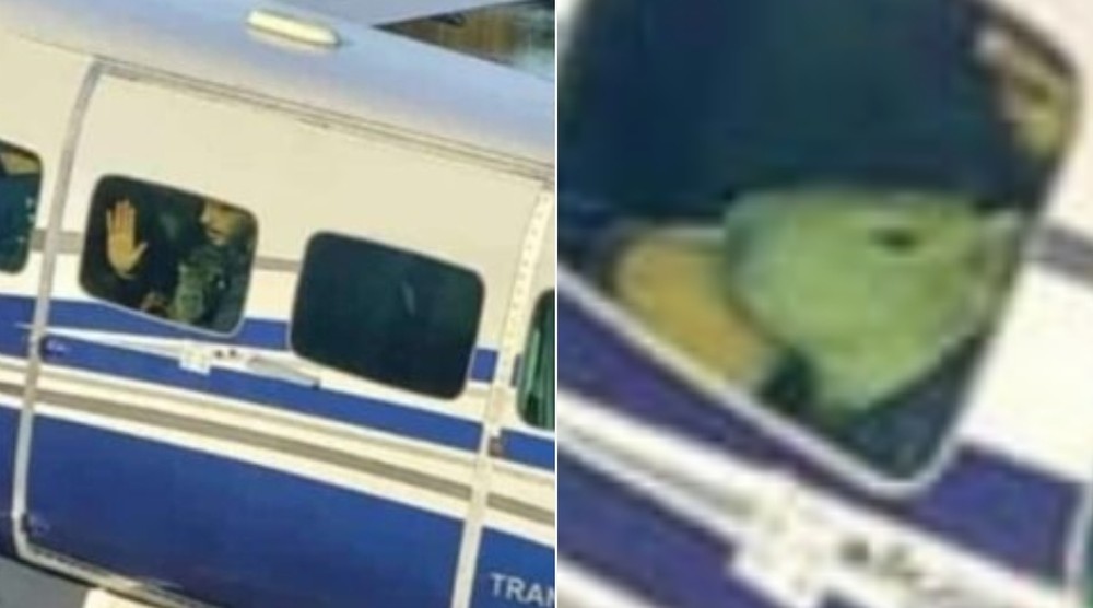 Influencer entrega capivara ‘Filó’ ao Ibama, em Manaus: ‘Seu verdadeiro ...