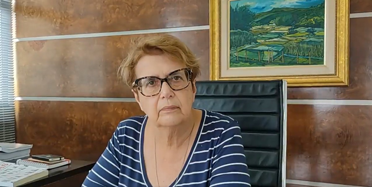 Margarida Salomão integra comissão de prefeitos para apresentar ...
