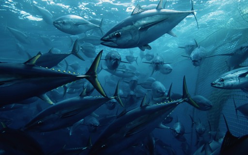Dia Mundial dos Oceanos: 7 melhores documentários sobre o oceano para assistir agora - Vogue ...