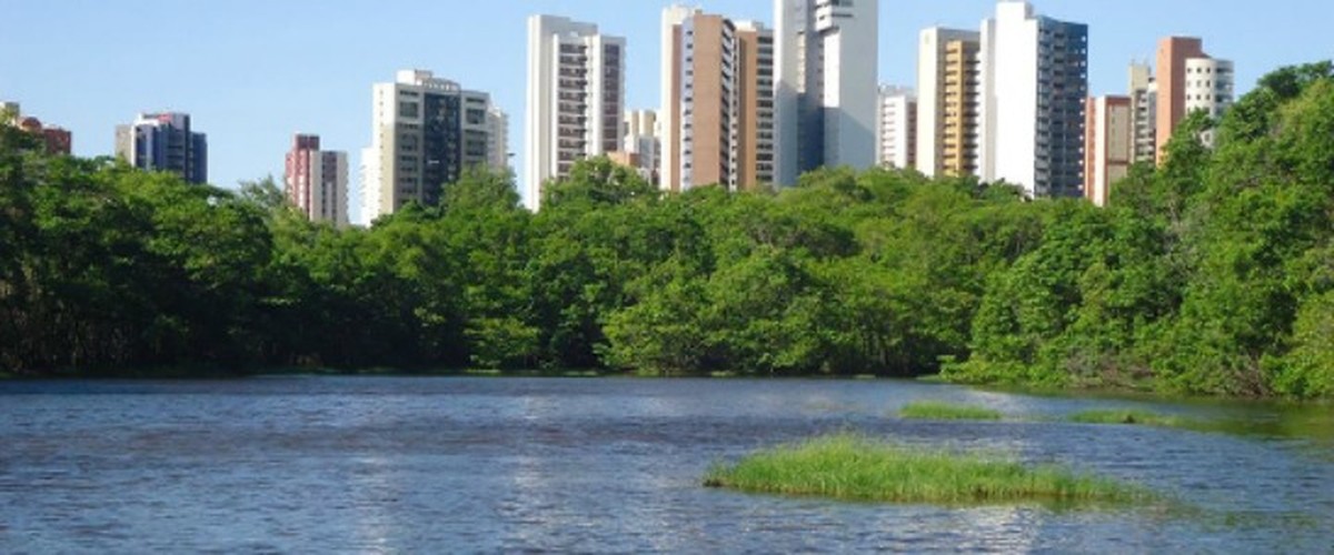 Governo do Ceará regulamenta área de 1,5 mil hectares do Parque do Cocó ...