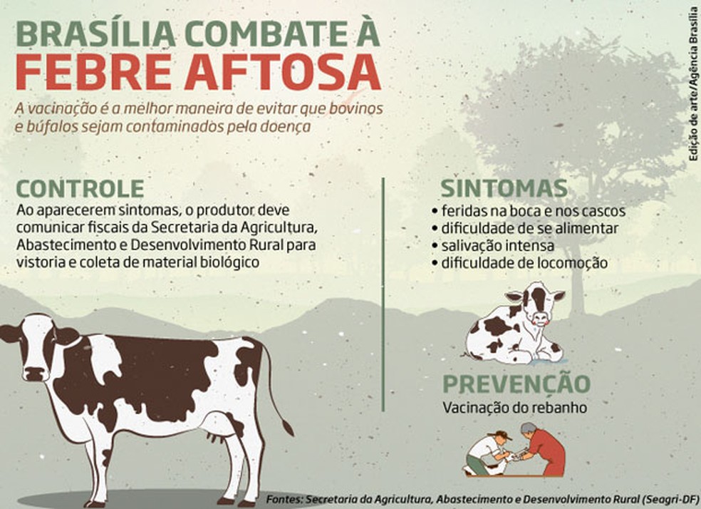 Vacinação contra febre aftosa no DF tem como foco 91 mil bois e búfalos ...