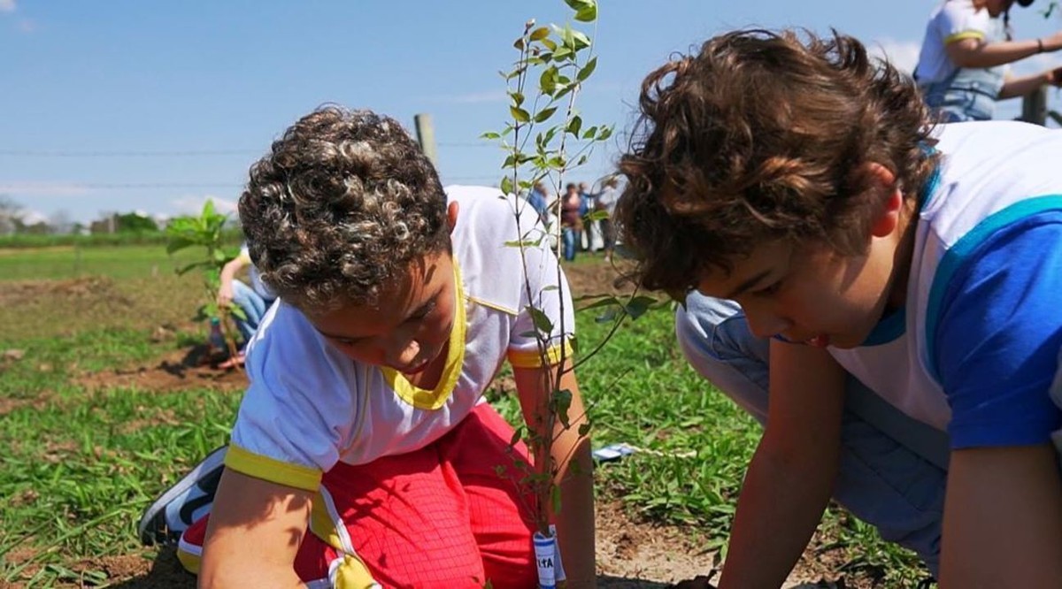 Estudantes 'plantam' água em Saltinho (SP) | Terra da Gente | G1