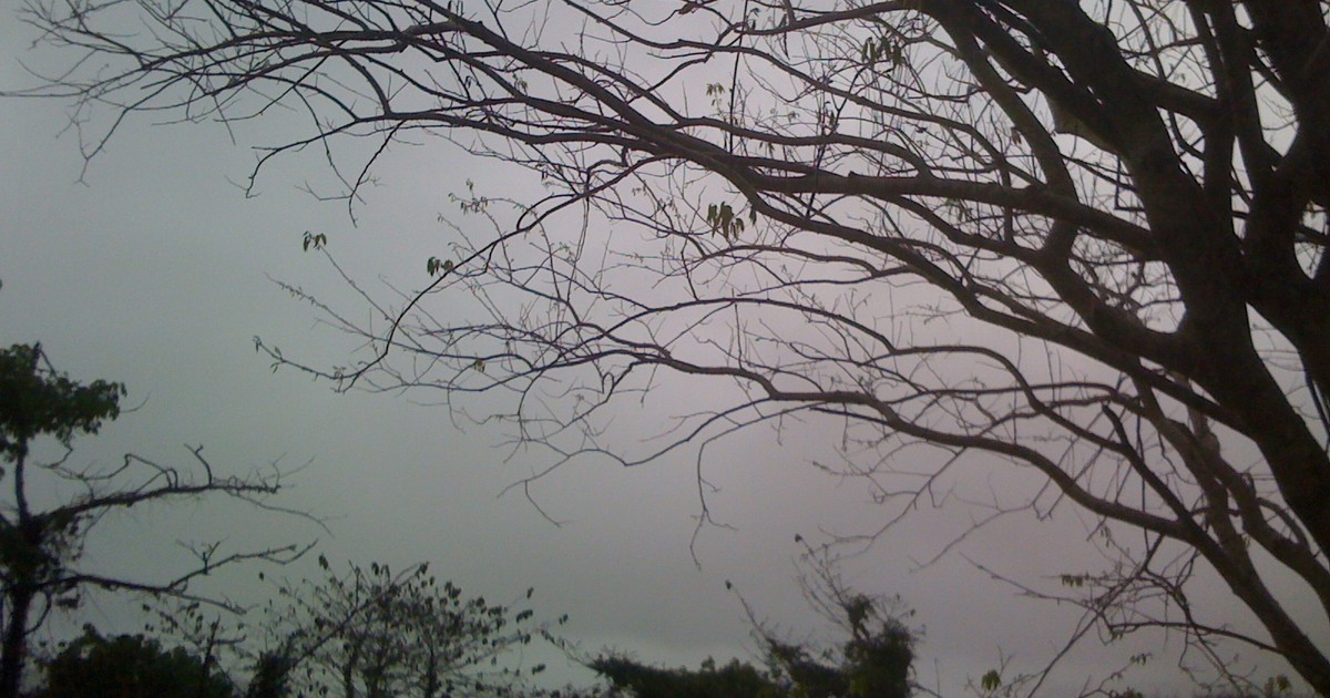 G1 - Chove mais do que o previsto nos primeiros dias de setembro em SC ...