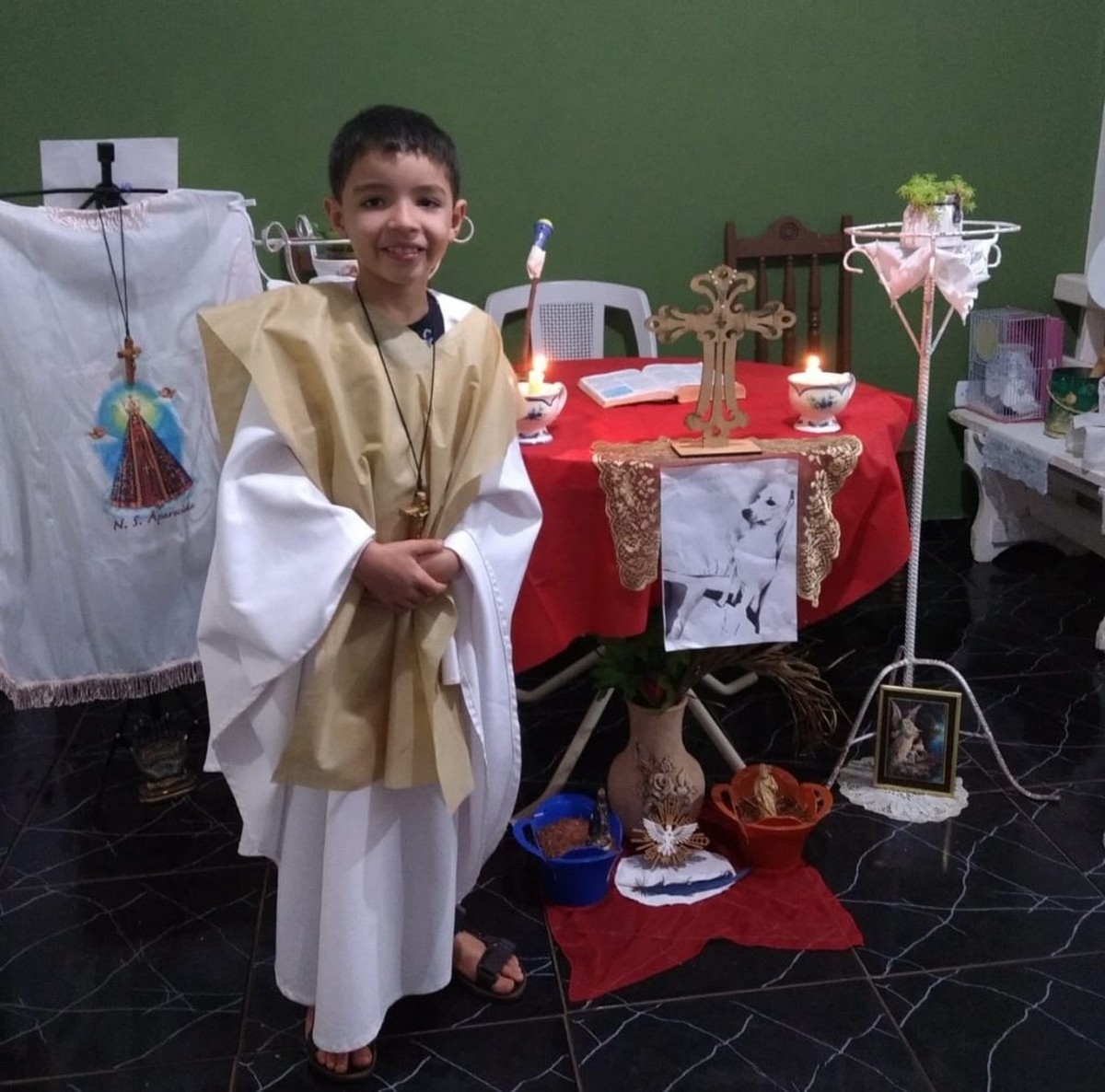 Menino de 7 anos sonha em ser padre e celebra missa para animais de ...