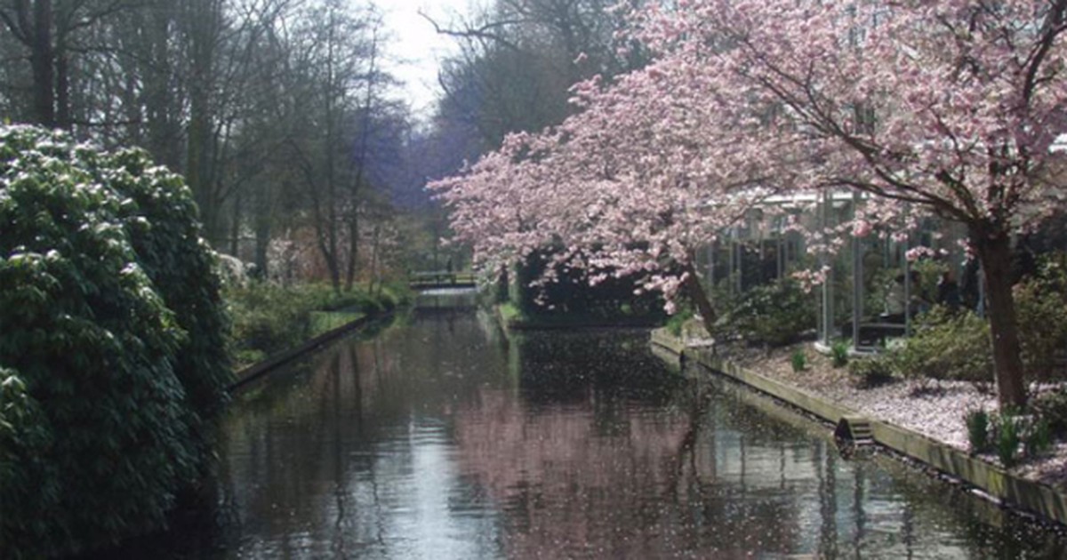 G1 - Parque Keukenhof vale mais de um dia de visita - notícias em São Paulo