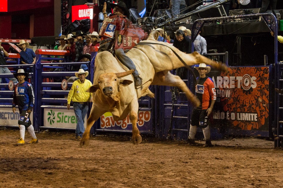Pioneiro do rodeio em touros no Brasil, ex-peão cita evolução da ...
